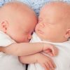 Twin & Triplet Information and Tips | Multiple Birth Resource Directory